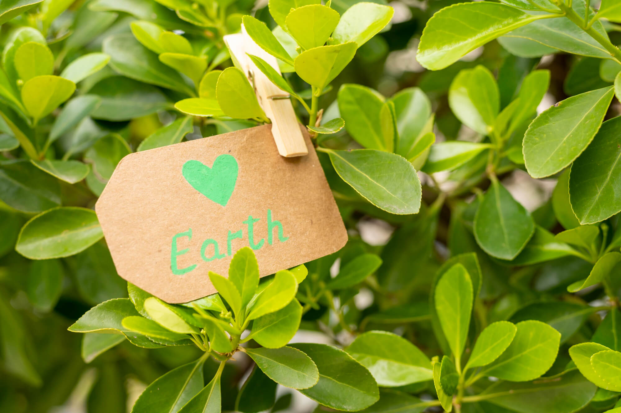 Unveiling The European Green Deal's Ambitious Goals For Achieving ...